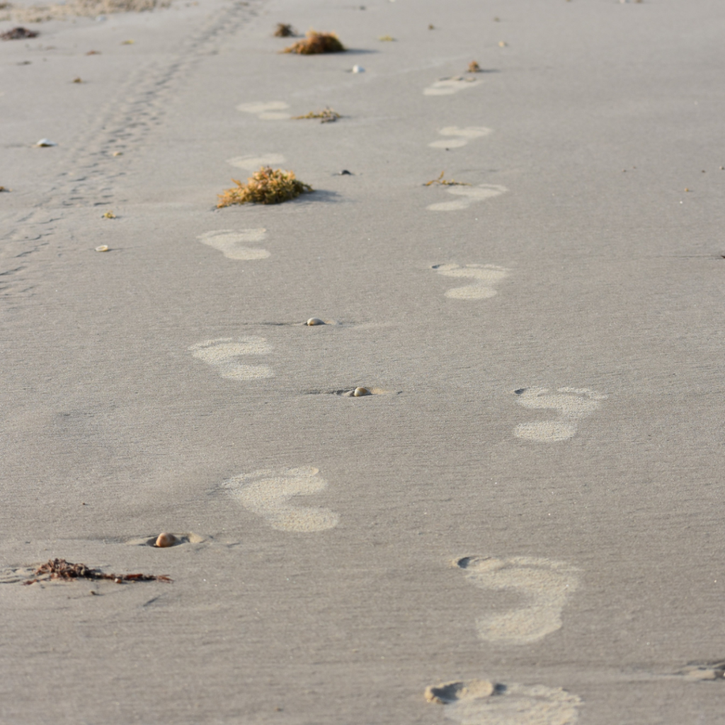 5 steps action plan to recognize your instinctive advantage