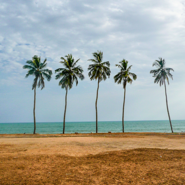 5 steps action plan to recognize your instinctive advantage