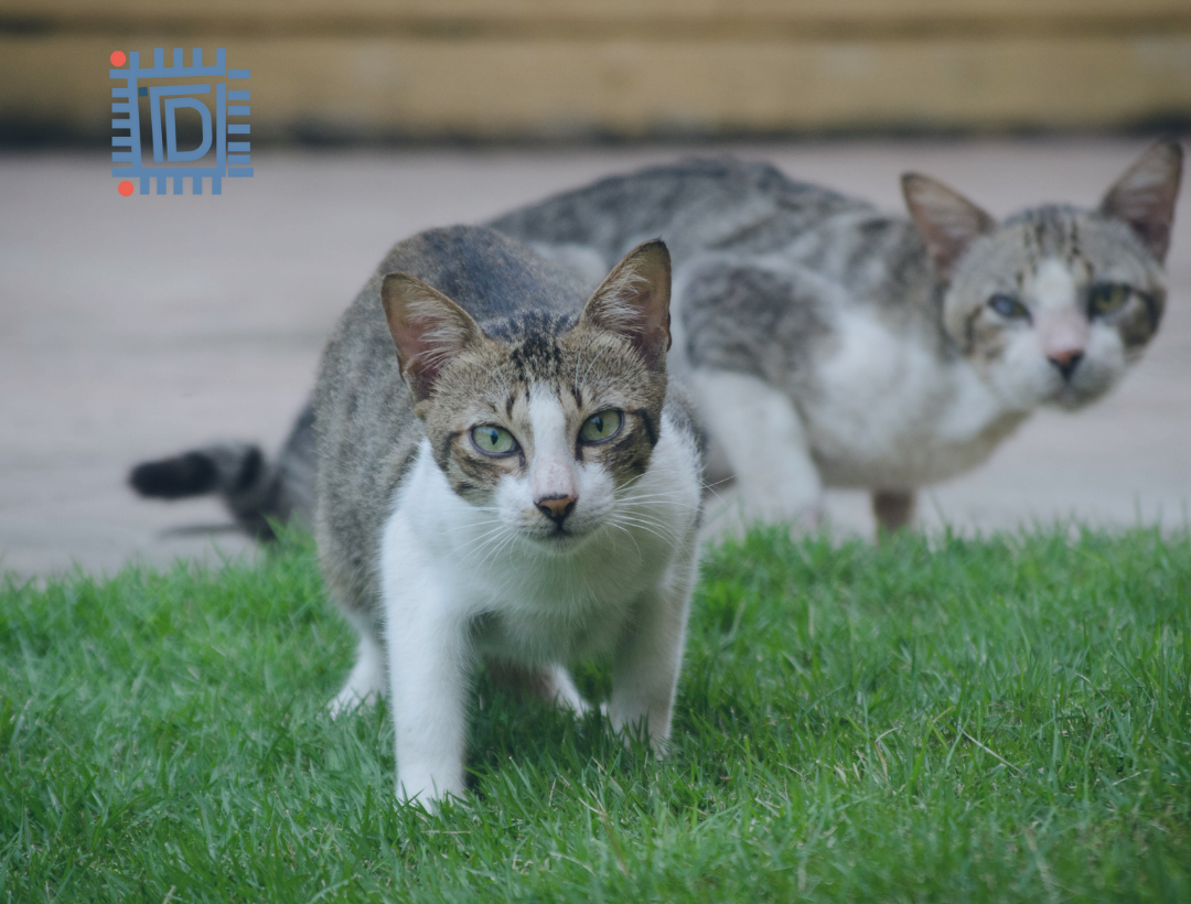 Do we have the capacity to control our instinctive behavior?