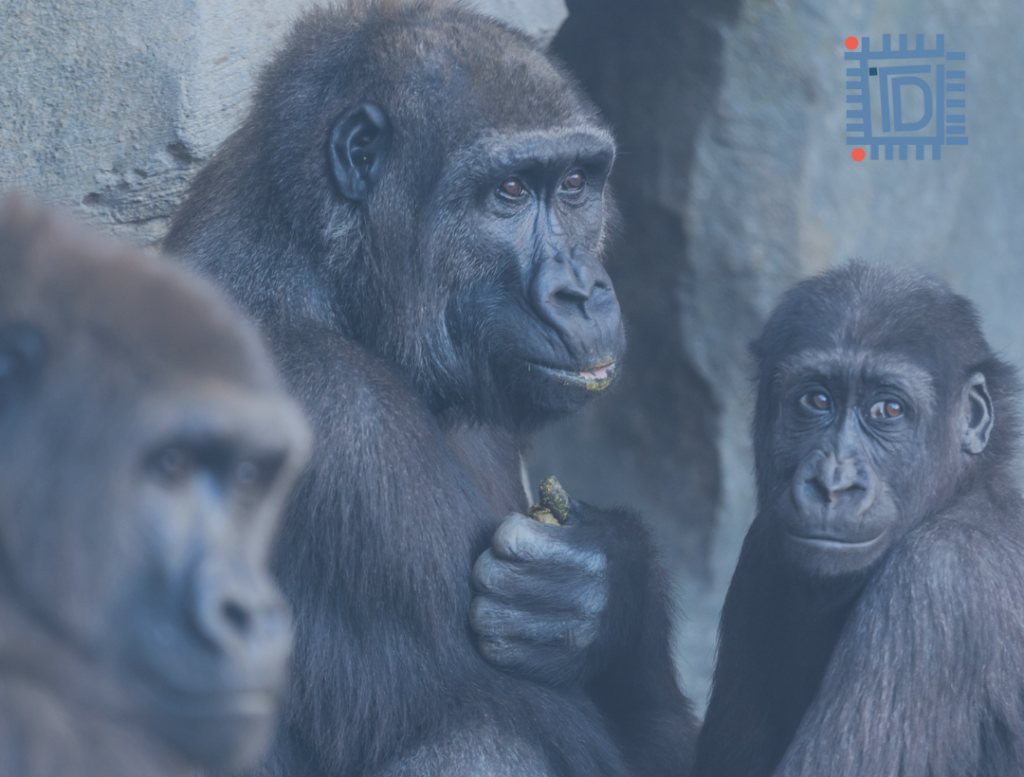 Are we hardwired to band together into tribes? - Think Different Nation